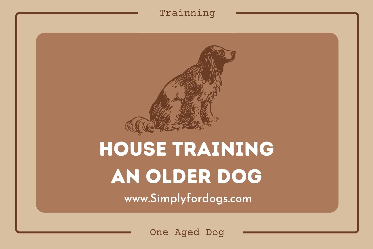 House Training An Older Dog Simple Tips Simply For Dogs