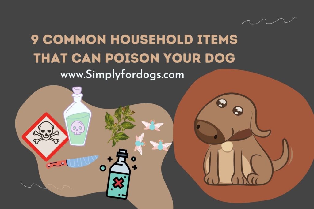 Dog Poison Items (OWNERS MUST KNOW) - Simply For Dogs
