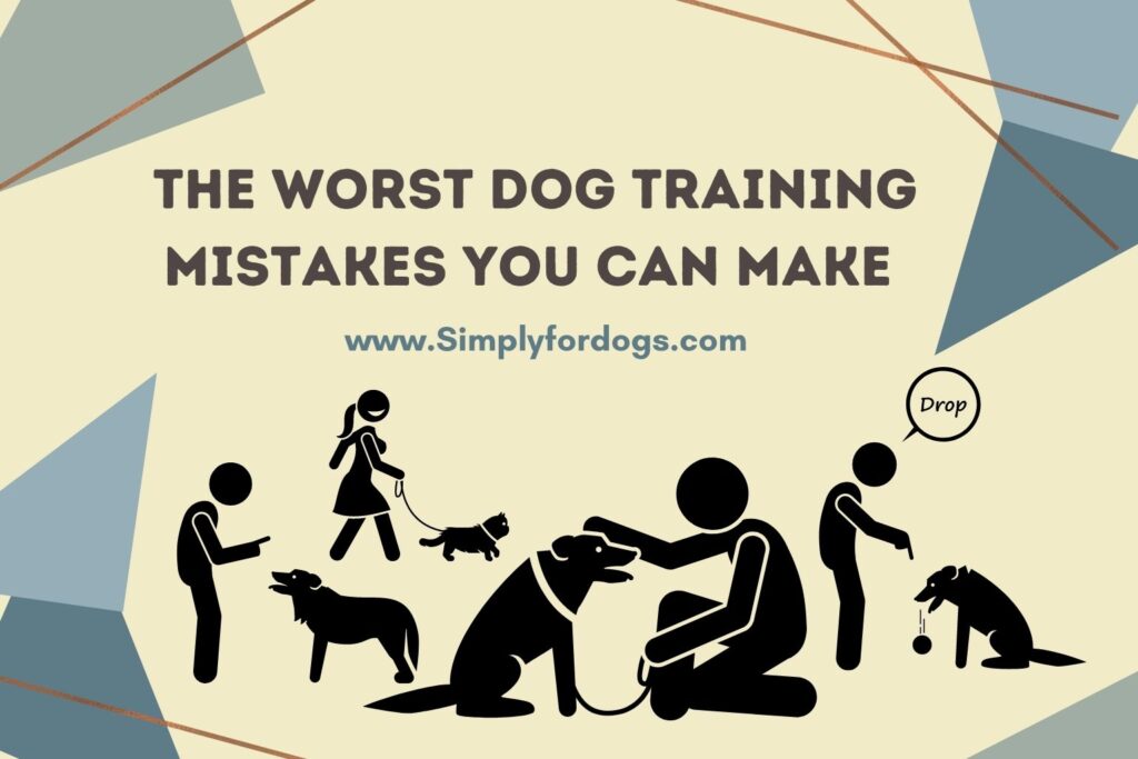 The Worst Dog Training Mistakes You Can Make (New Owner Must Read)
