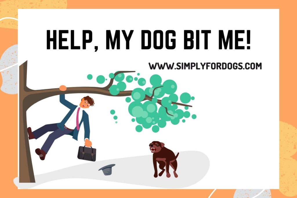 Help, My Dog Bit Me! (Why & What to Do) - Simply For Dogs