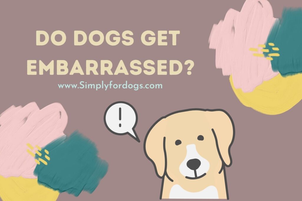 Do Dogs Get Embarrassed? (The Surprising Truth) - Simply For Dogs