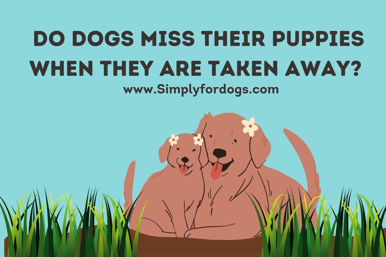 Do Dogs Miss Their Puppies What Experts Say Simply For Dogs