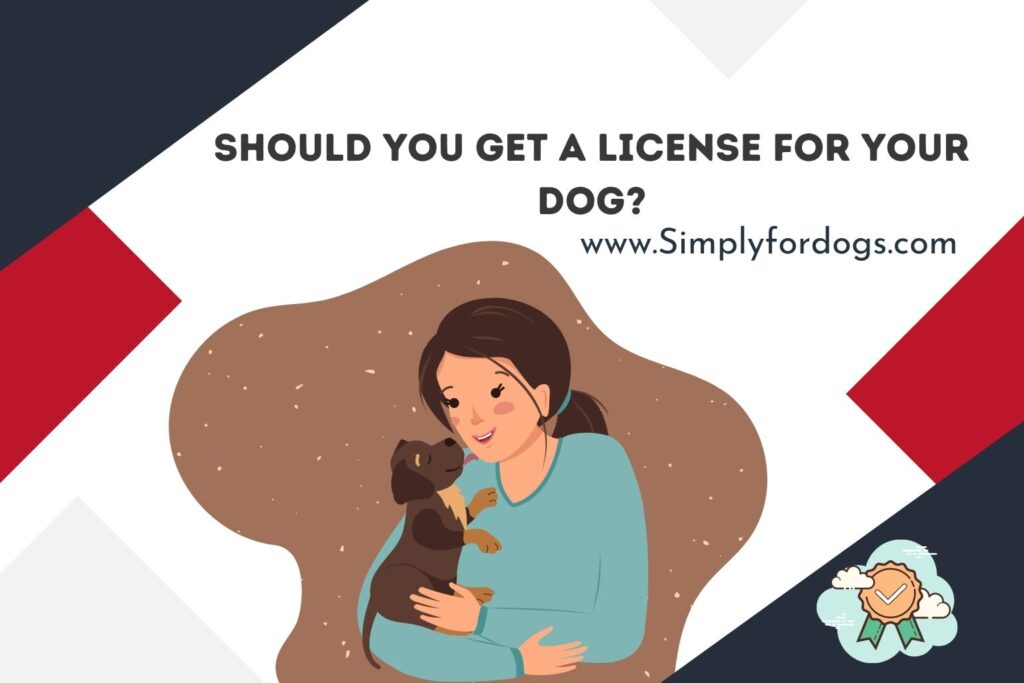 Should You Get A License For Your Dog Is It Necessary 