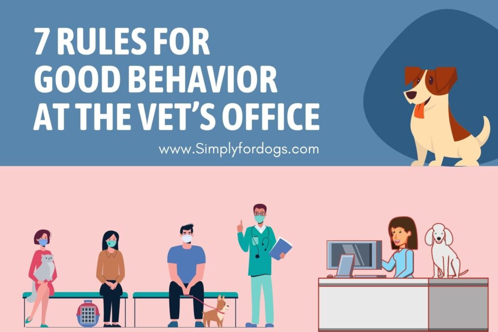 Rules for Good Behavior at the Vet's Office? (What You Should Do & Don't)