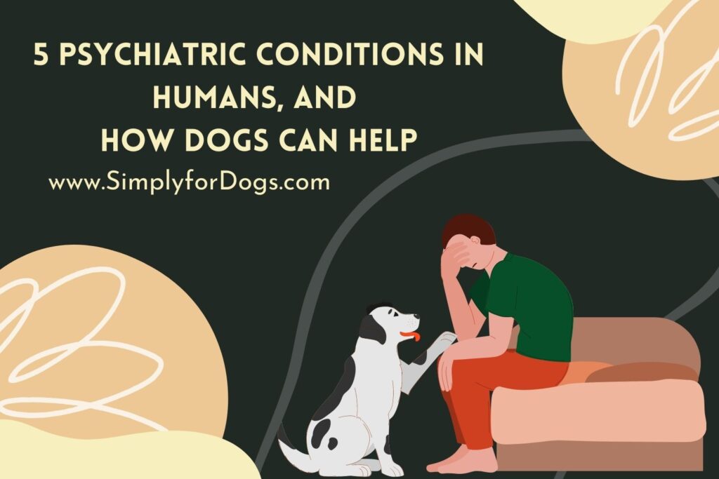 5 Psychiatric Conditions in Humans, and How Dogs Can Help (Facts ...