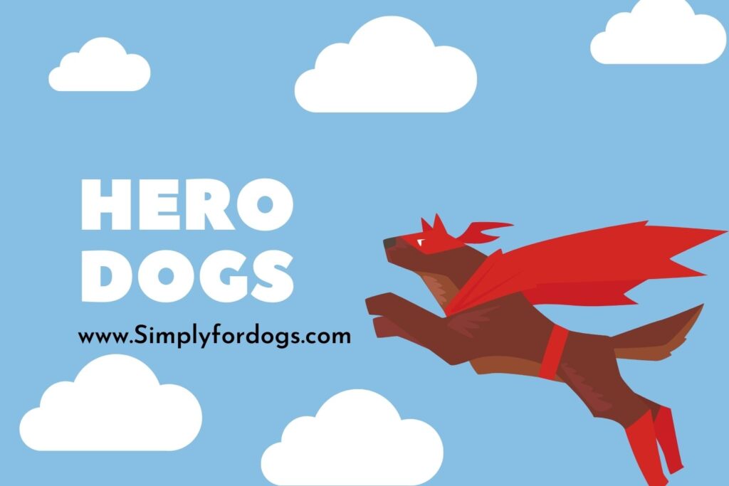 Hero Dogs (The Great Dogs of Decades) - Simply For Dogs