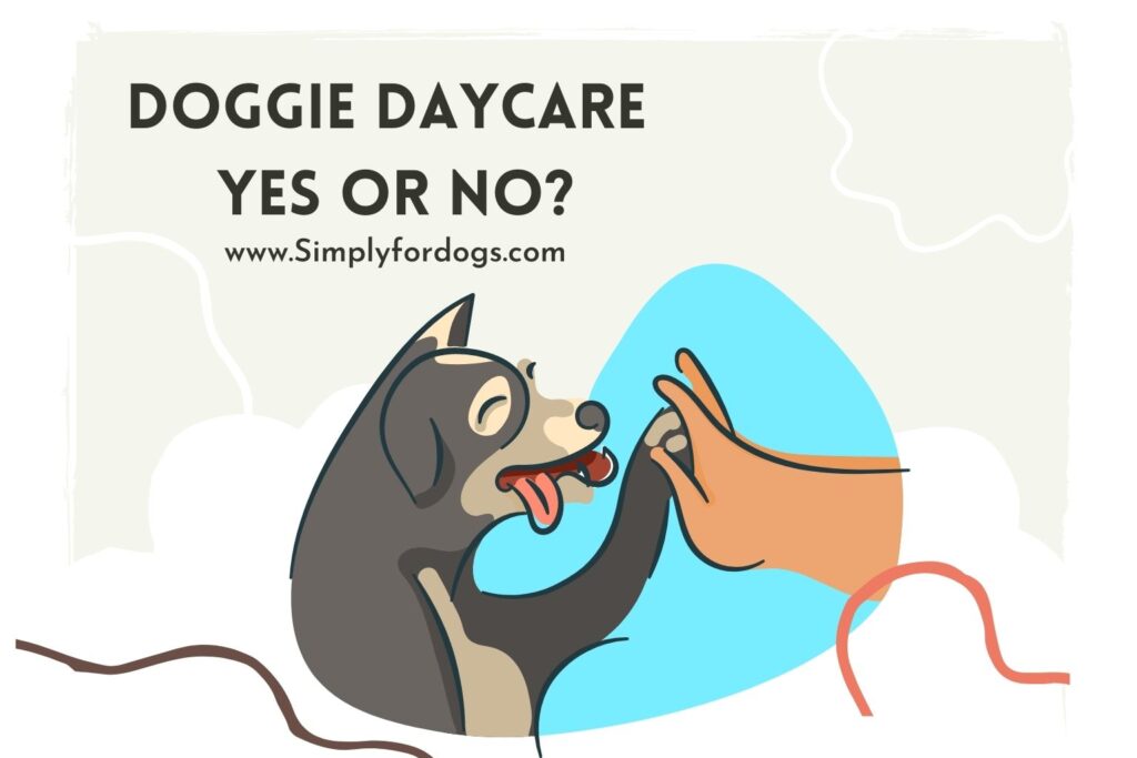 Doggie Daycare - Yes or No? - (What You Miss) Simply For Dogs