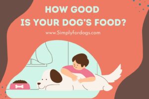 How Good Is Your Dog's Food? - (Tips to Detect) Simply For Dogs