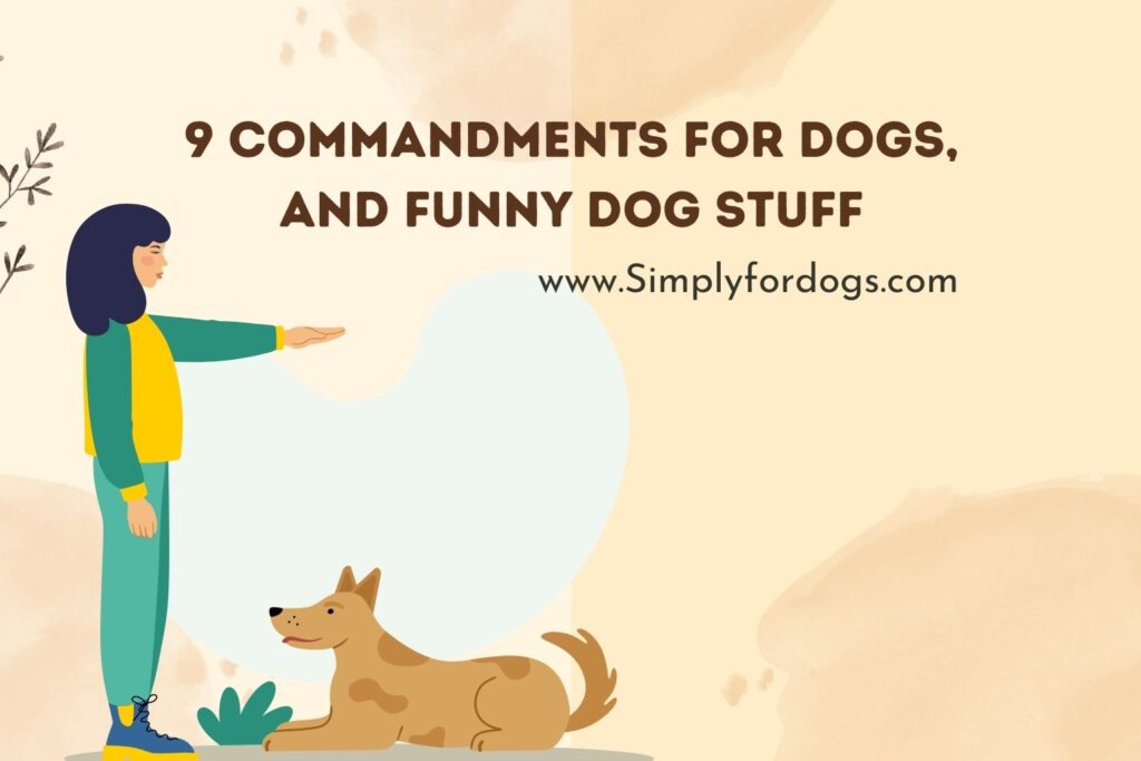 Commandments For Dogs - (Interesting Ones)