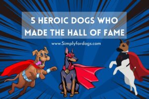 5 Heroic Dogs Who Made the Hall of Fame - (You Might Love This)