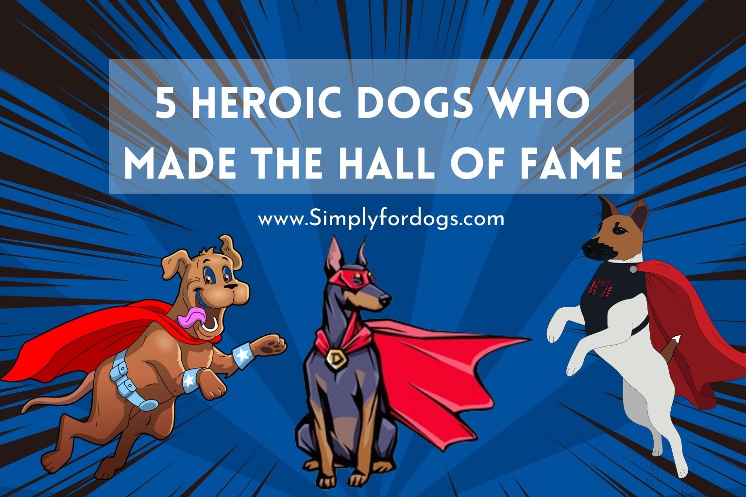 5 Heroic Dogs Who Made The Hall Of Fame You Might Love This 5 Heroic Dogs Who Made The Hall Of Fame You Might Love This