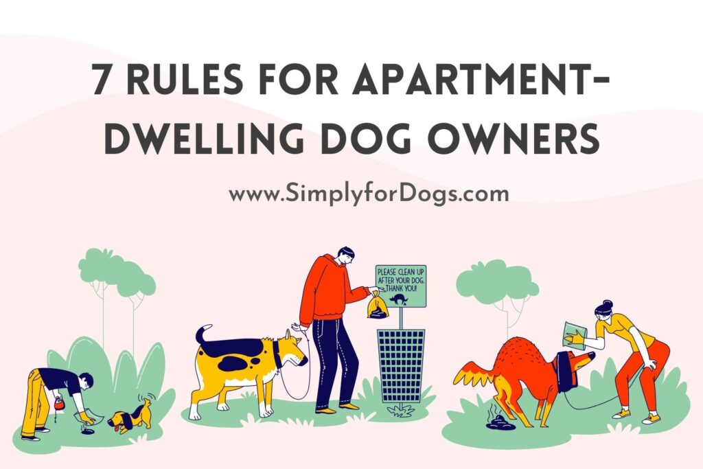Rules For Apartment Dwelling Dog Owners - (Urban Tips)