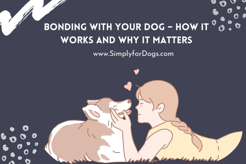 Bonding with Your Dog (Simple Tips) - Simply For Dogs