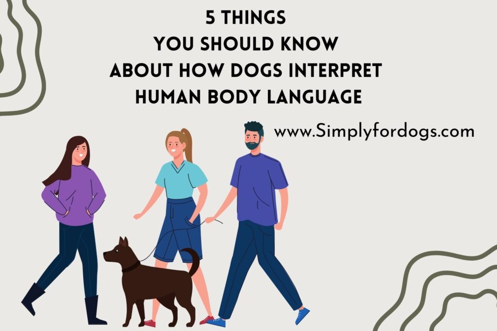 Dogs Interpret (Meaning and Facts) - Simply For Dogs