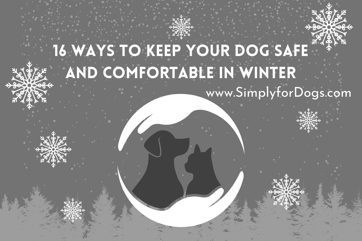 16 Ways To Keep Your Dog Safe And Comfortable In Winter Easy Way 16 Ways To Keep Your Dog Safe And Comfortable In Winter Easy Way