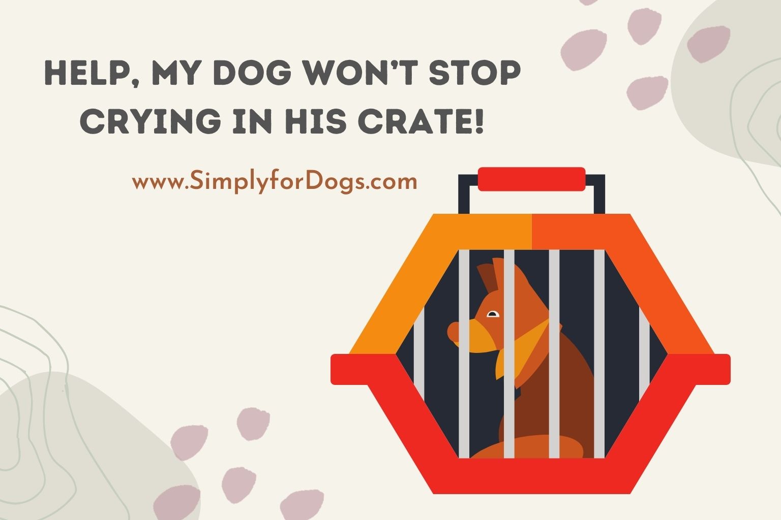 My Dog Won t Stop Crying In His Crate What To Do My Dog Won t Stop Crying In His Crate What To Do