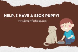I Have a Sick Puppy! Symptoms of Illness - (Simple Treatment) Simply ...