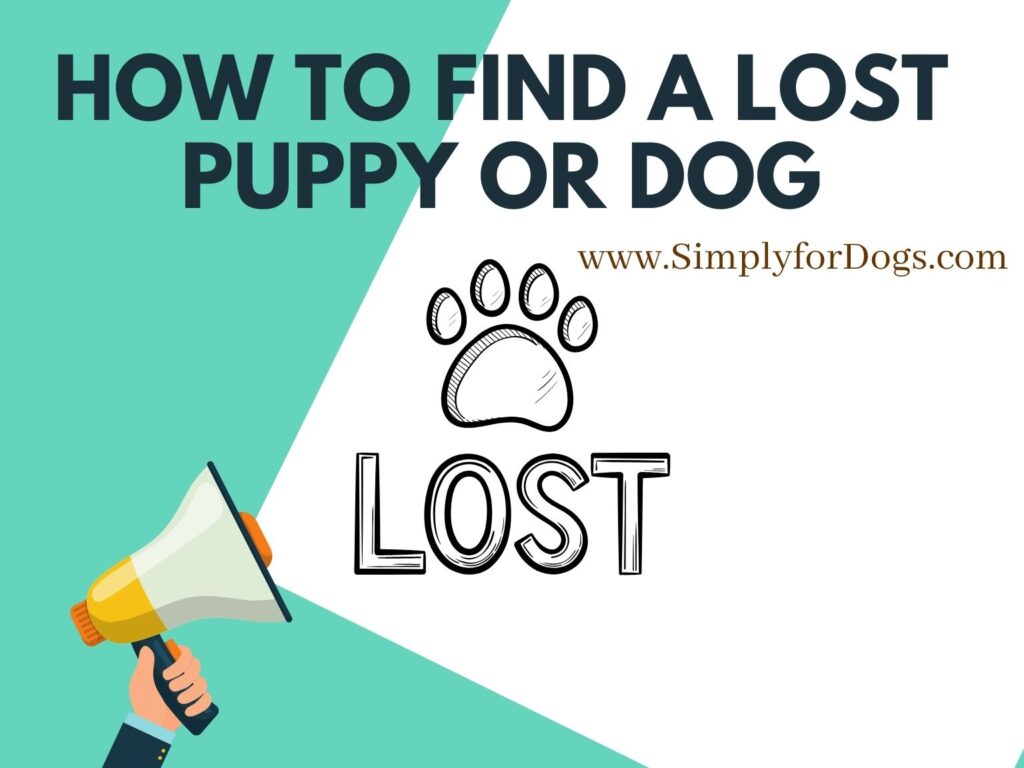 How to Find a Lost Puppy or Dog - (Effective Way) Simply For Dogs