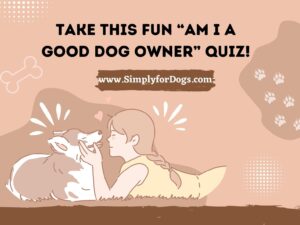 "Am I a Good Dog Owner" (Your Thinking & Activity) - Simply For Dogs