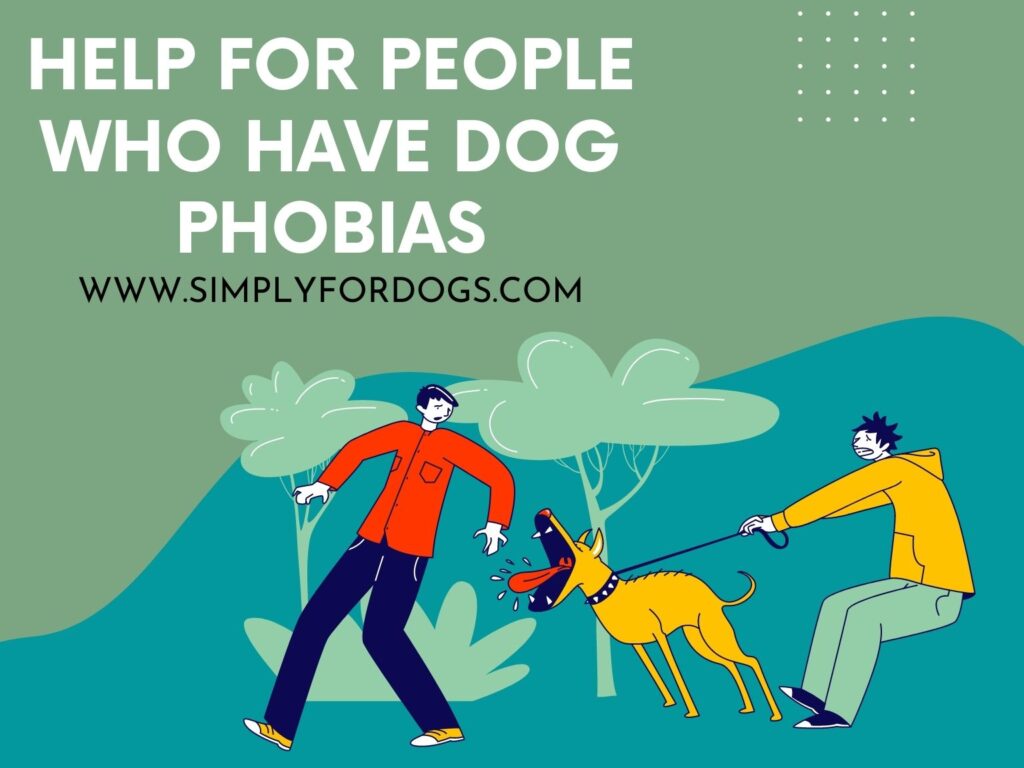 Help for People Who Have Dog Phobias - (A Kind Step to Make)