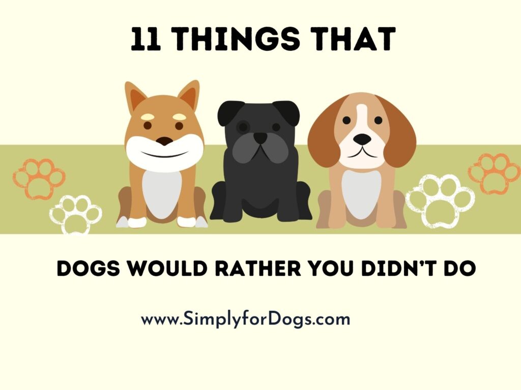 11 Things That Dogs Would Rather You Didn't Do (Hidden Ideas)