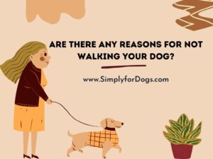 Are There Any Reasons for Not Walking Your Dog? (Excuses Aside!!)