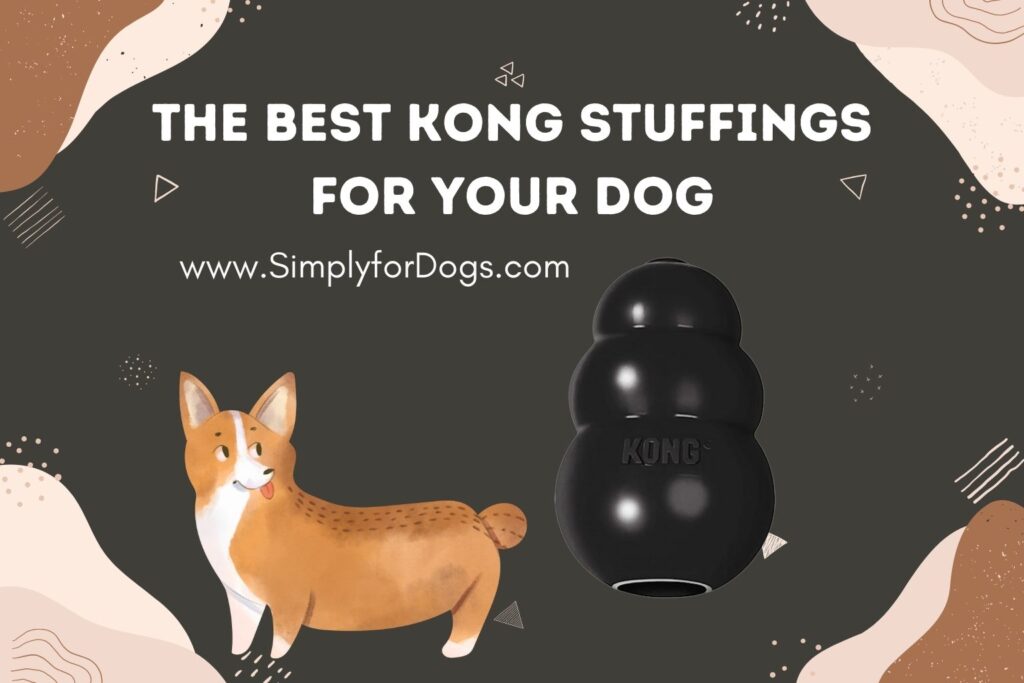 The Best Kong Stuffings for Your Dog (Pros & Cons) - Simply For Dogs