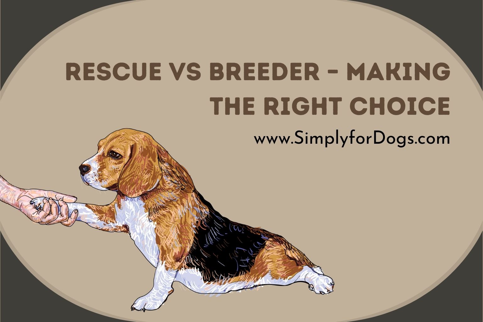 Rescue vs Breeder – Making the Right Choice (Owners Must Know) - Simply ...