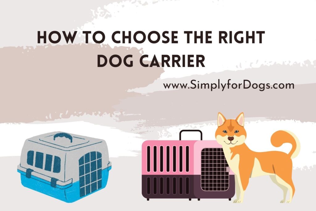 How to Choose the Right Dog Carrier? (Easy & Available) - Simply For Dogs