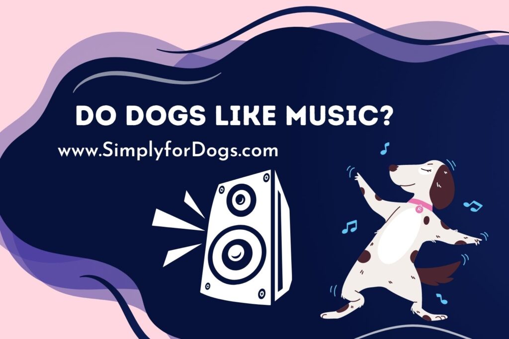 Do Dogs Like Music? (From Survey) - Simply For Dogs