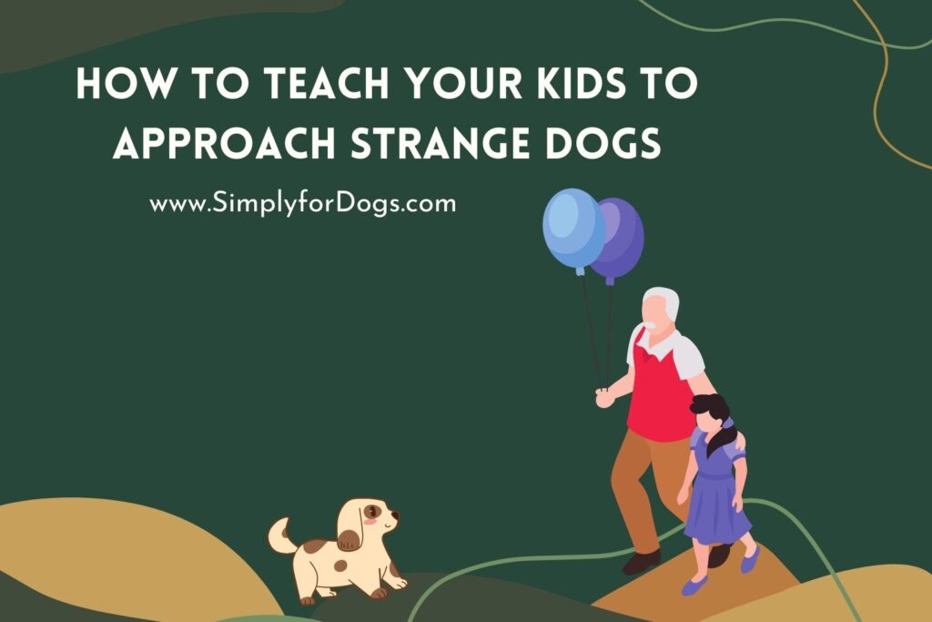 How to Teach Your Kids to Approach Strange Dogs (Simple Steps) - Simply ...