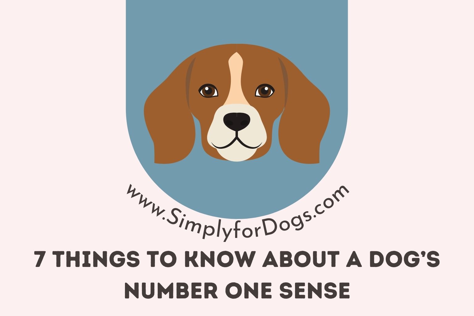 Dogs Noses Senses You Didn t Know This Before Simply For Dogs Dogs Noses Senses You Didn t Know This Before Simply For Dogs