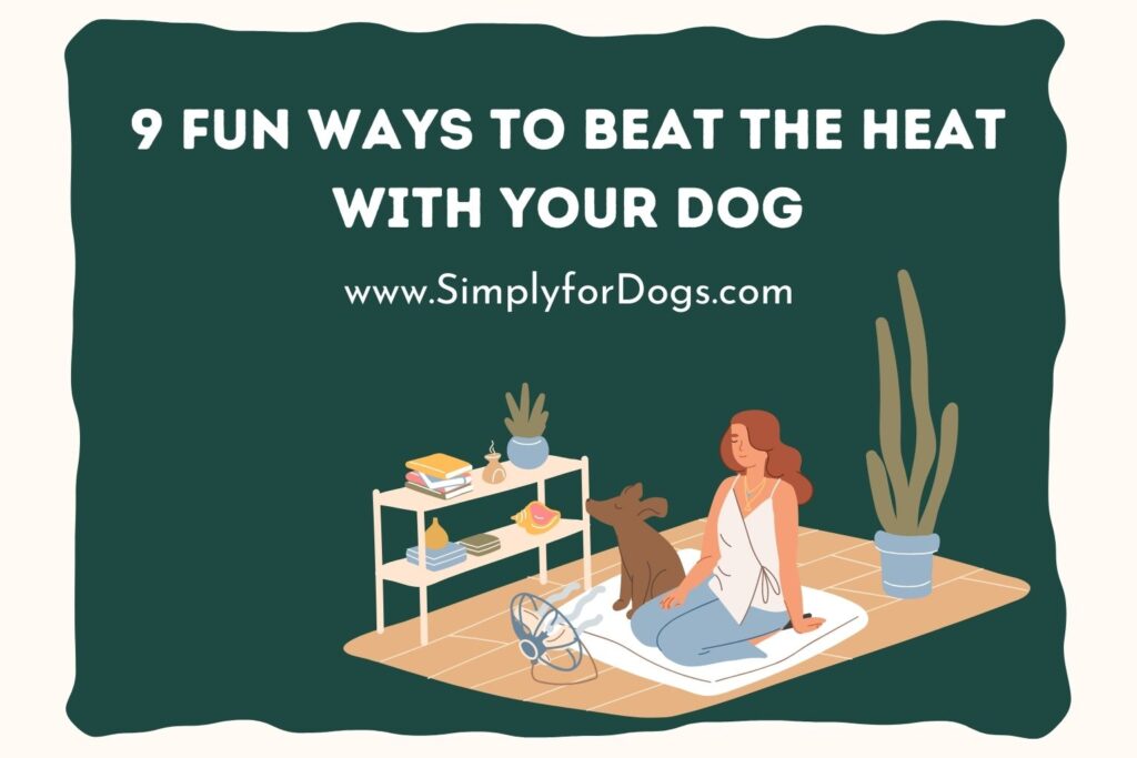 Heat With Dog (Stay Cooling Tips) - Simply For Dogs