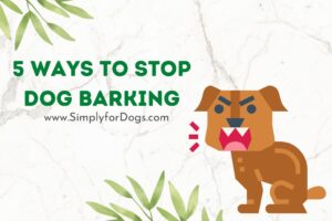 Ways to Stop Dog Barking (Bark Rules) - Simply For Dogs
