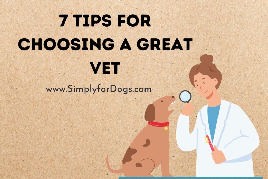 7 Tips for Choosing a Great Vet (Ultimate Guide) - Simply For Dogs