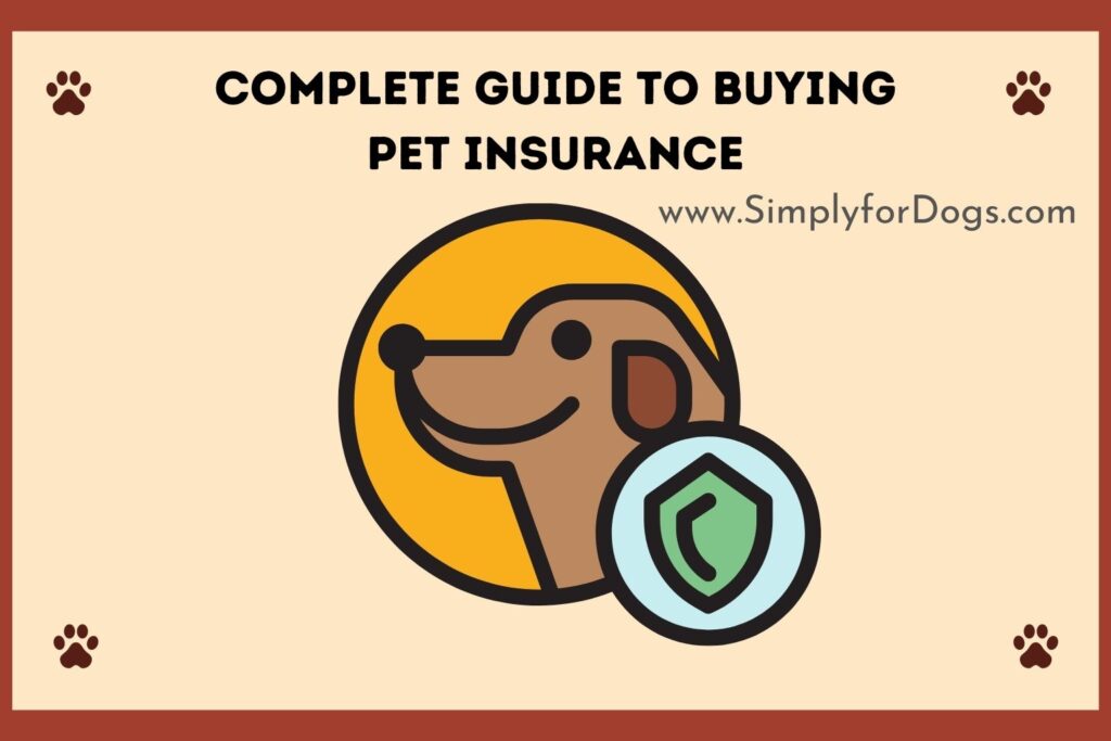 Complete Guide to Buying Pet Insurance (Pros & Cons) - Simply For Dogs