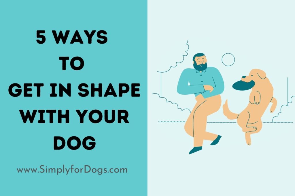 5 Ways to Get in Shape with Your Dog (Is It Good?) - Simply For Dogs