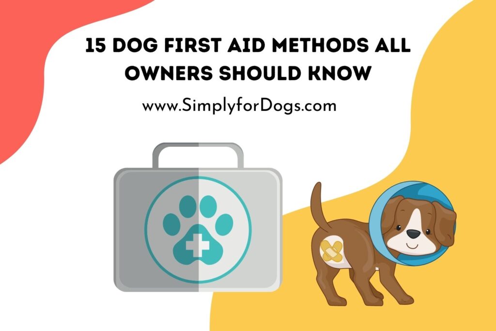15 Dog First Aid Methods (A Must Know Guide) - Simply For Dogs