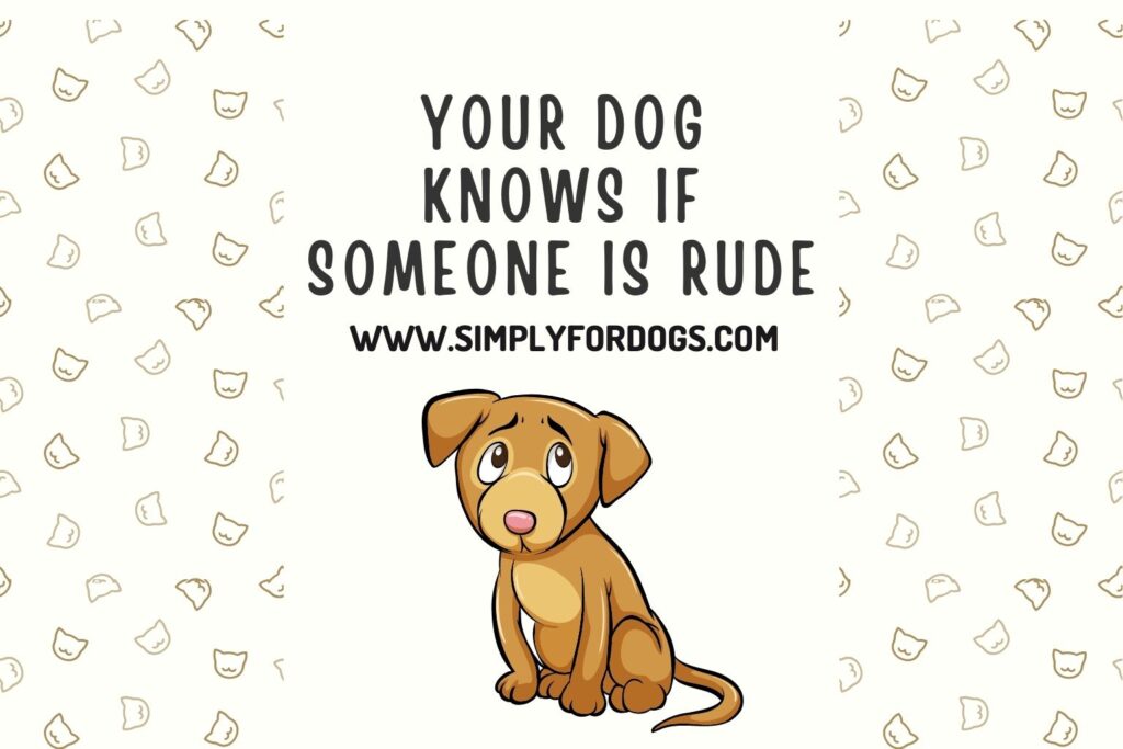 Your Dog Knows If Someone Is Rude (Dog's Emotion Explained) - Simply ...
