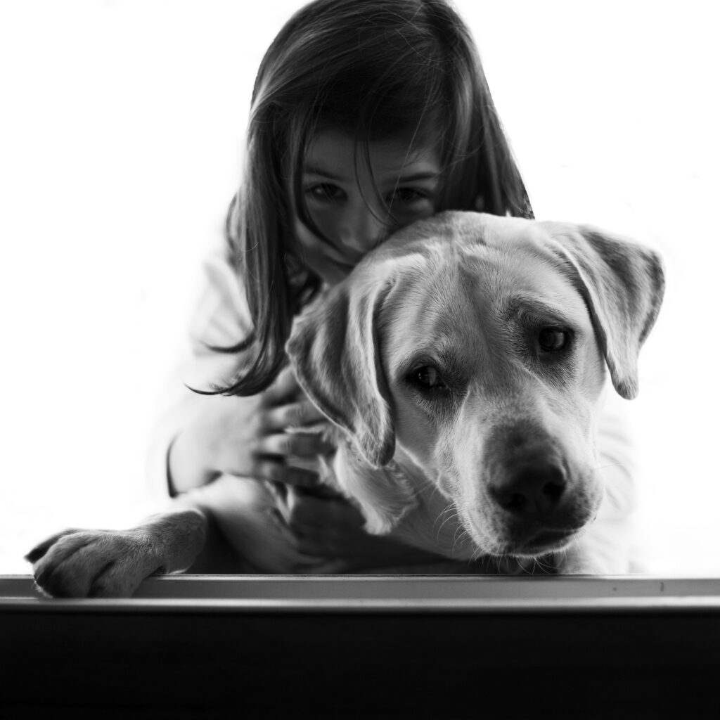 Dog Relationships (Good Tips) - Simply For Dogs Dog Relationships (Good Tips) - Simply For Dogs