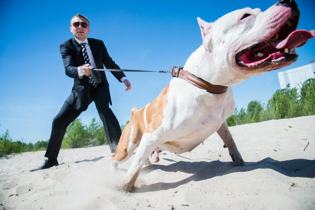 7 Reasons for These Gross Dog Habits (How to Stop) - Simply For Dogs