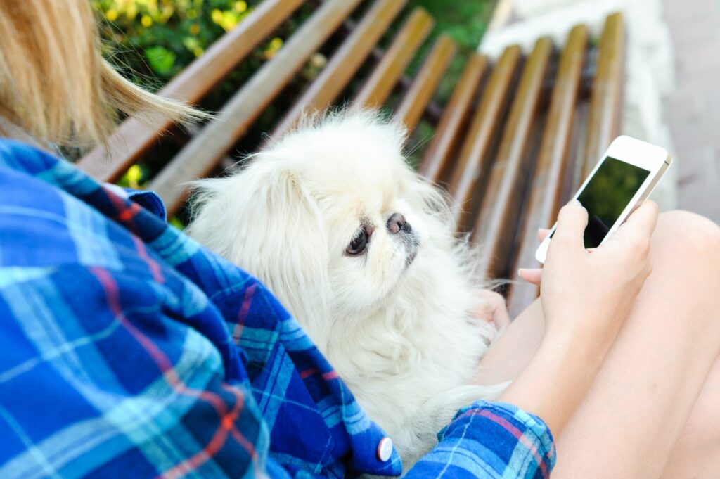 15 Smartphone Apps for Dog Lovers - Simply For Dogs 15 Smartphone Apps for Dog Lovers - Simply For Dogs