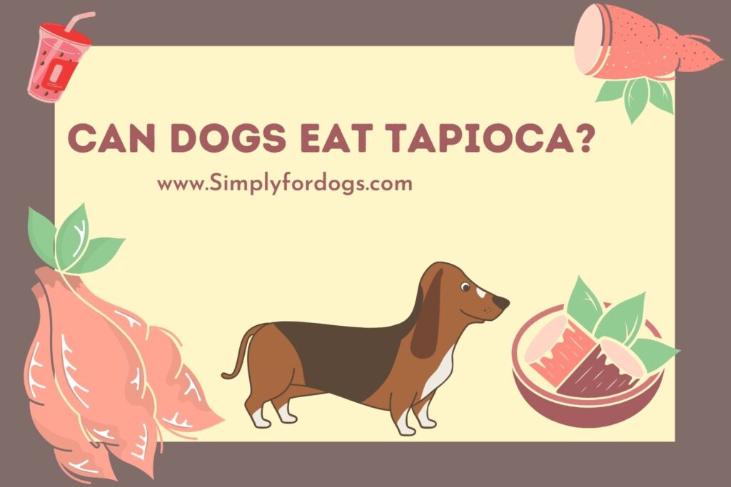 Can Dogs Eat Tapioca? - Simply For Dogs