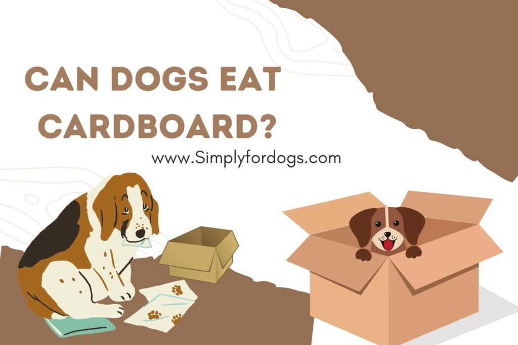 Can Dogs Eat Cardboard THE TRUTH Simply For Dogs Can Dogs Eat Cardboard THE TRUTH Simply For Dogs