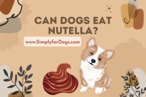 Can Dogs Eat Nutella? - Simply For Dogs